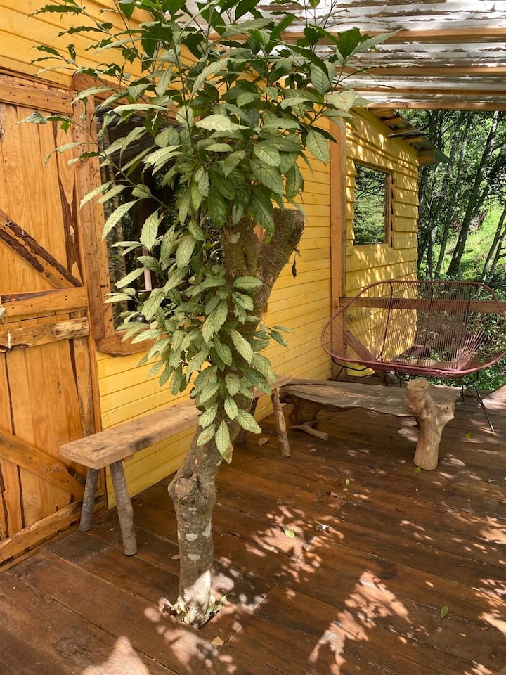 "Casa De Barro" Forest Studio Home At Creek Edge - Messico