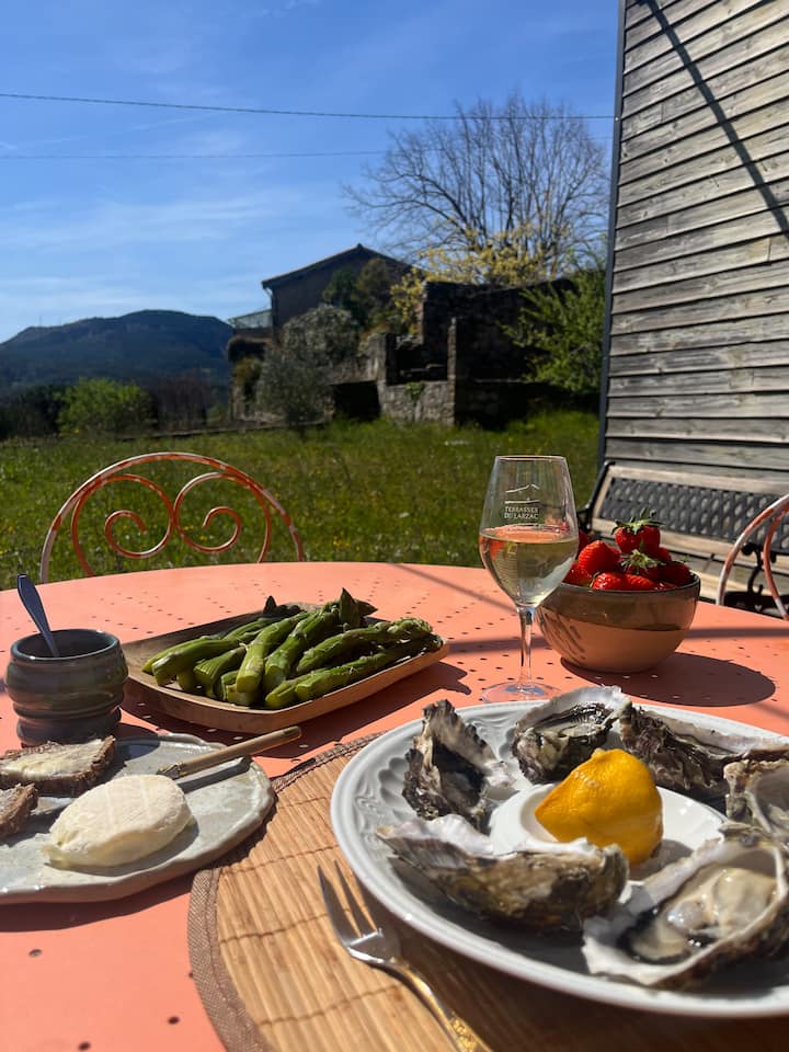 Villa Slow Life_espace, Lumière, Panorama à Lodève - Lodève