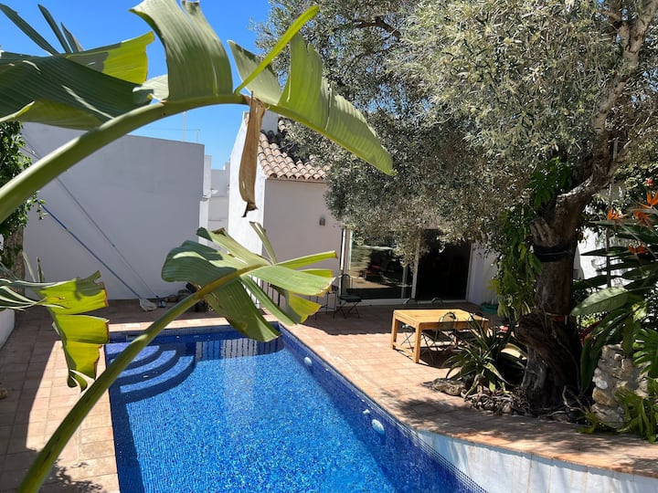 Casa Del Olivo Viejo - Medina-Sidonia