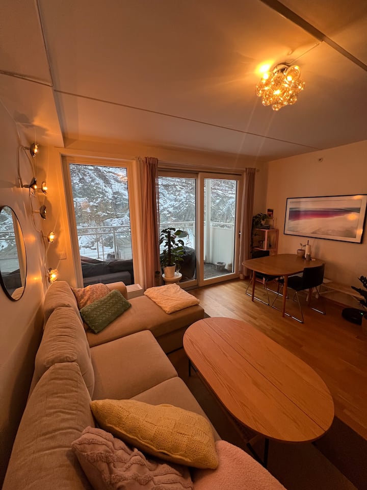 Utleie Av Leilighet I Gamle Oslo - 奧斯陸