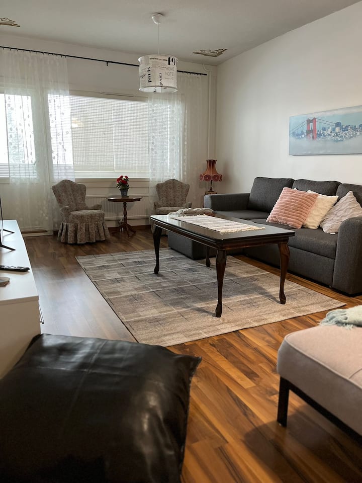 Kodikas Viihtyisä Kaksio Pori - Pori