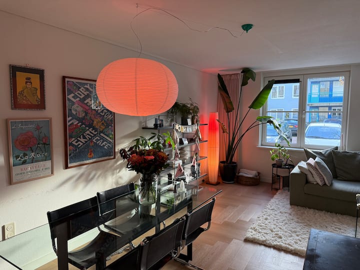 Prachtig Appartement In Amsterdam Noord - Ámsterdam