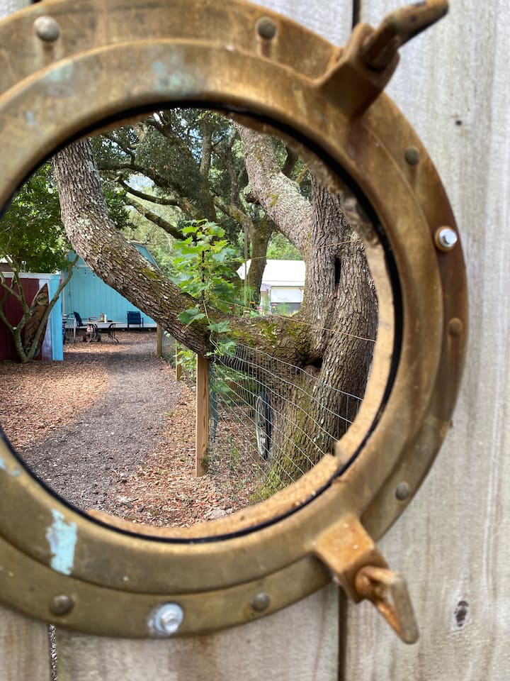 Perdido Surf Shack-tiny House Near Perdido Key - Perdido Beach, Pensacola