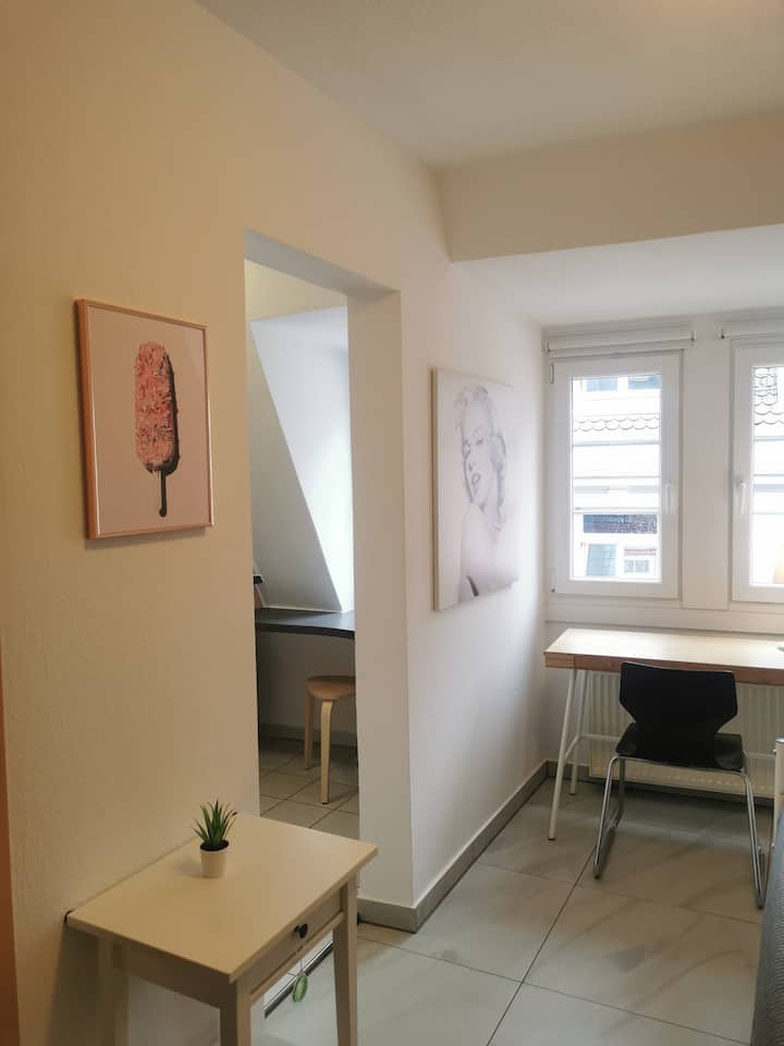 Apartment Im Herzen Stuttgarts (6) - Stuttgart