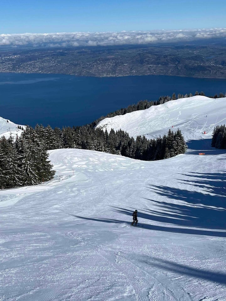 Appart-chalet Entre Lac & Montagne Avec Balcon - Lugrin