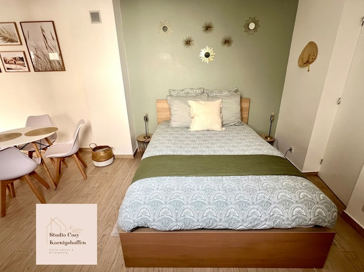 Studio Cosy Koenigshoffen - Eckbolsheim