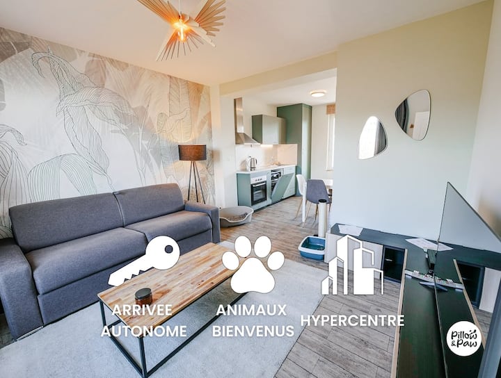 Le Bichon : T2, Confort, Hypercentre, Pet-friendly - Tours