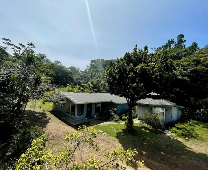 House In The Woods/private Trails Monteverde - Monteverde