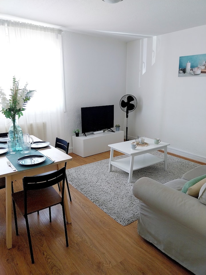 Le Bigourdan - 3 Chambres - Centre Ville - Tarbes