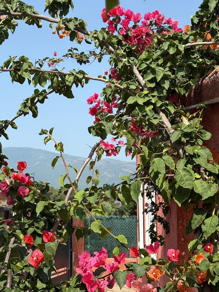 Ty Casa, Logement Entier Près De Bastia - Borgo