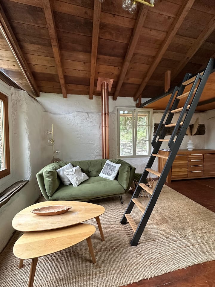 Casa Nel Bosco - Lugano