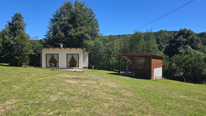 Casa De Campo - Lago Ranco