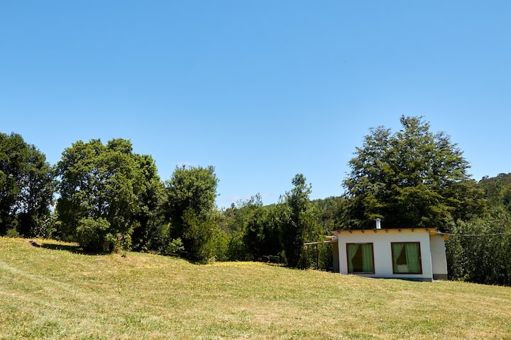 Casa De Campo - Lago Ranco