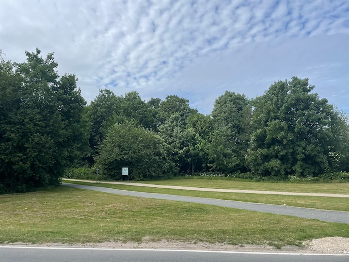 Hyggeligt Hus Ved Sø I Kbh - Copenhagen