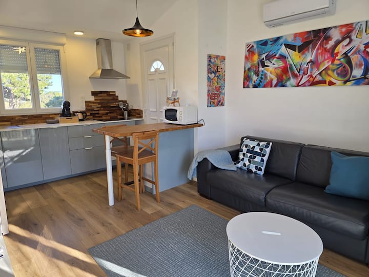 Les Photinias De La Presqu'île De Giens - Plage - Île de Porquerolles