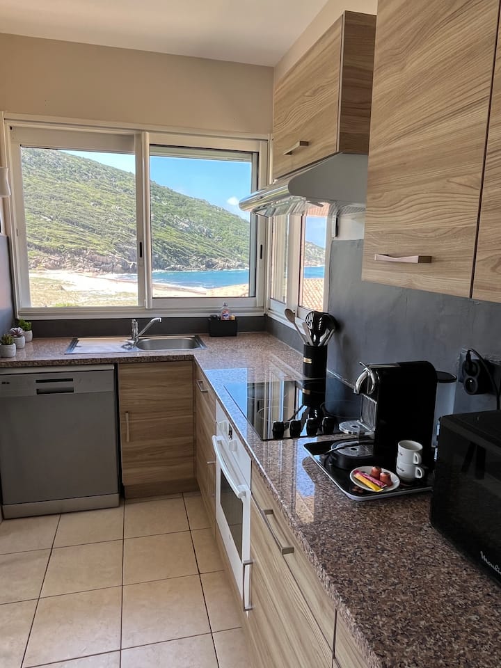 T3 Pieds Dans L’eau - Tizzano Corse Sud - Tizzano