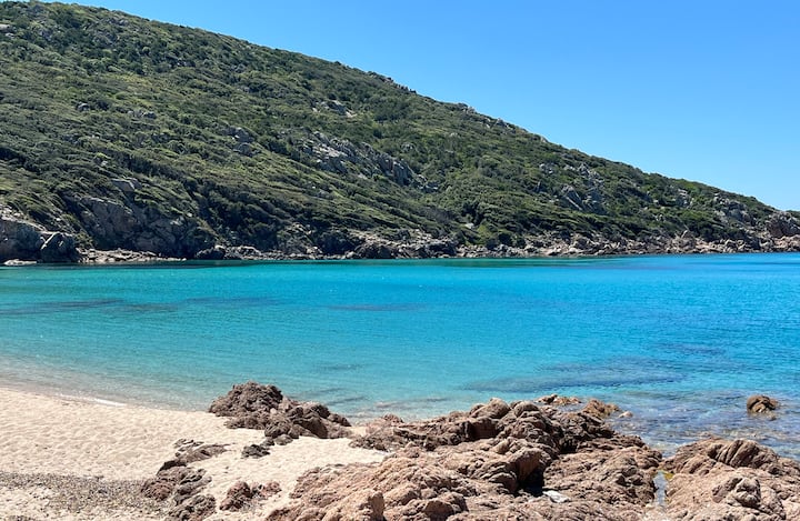 T3 Pieds Dans L’eau - Tizzano Corse Sud - Tizzano