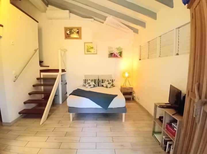 Gîte Avec Jardin Privé Et Piscine - Martinique
