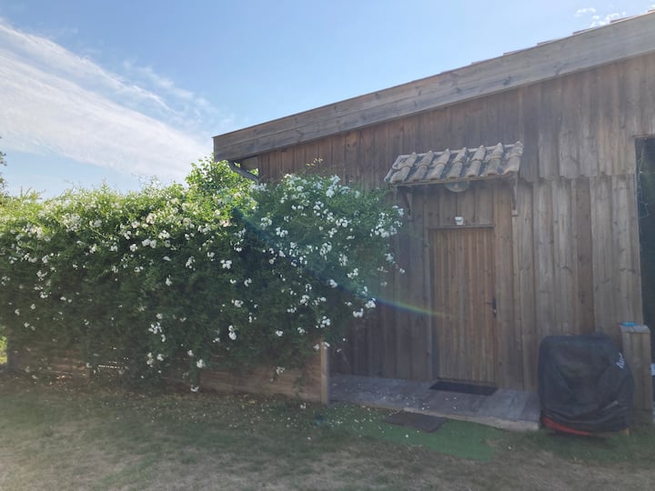 La Cabane Du Bassin & Sa Terrasse - Andernos-les-Bains