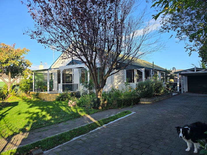 Pet Friendly Home In Napier City - Napier, New Zealand