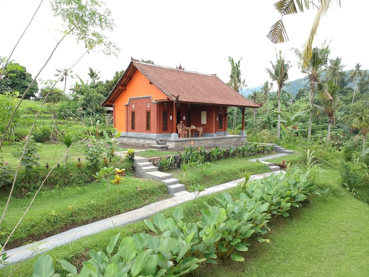 Experience The Beauty Of Bali - Klungkung