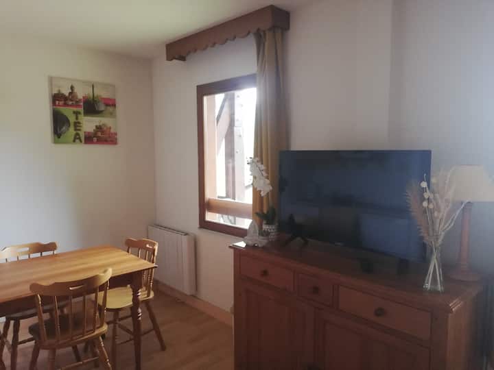 Studio Chaleureux De Montagne - Aulus-les-Bains