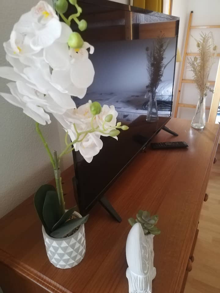 Studio Chaleureux De Montagne - Aulus-les-Bains