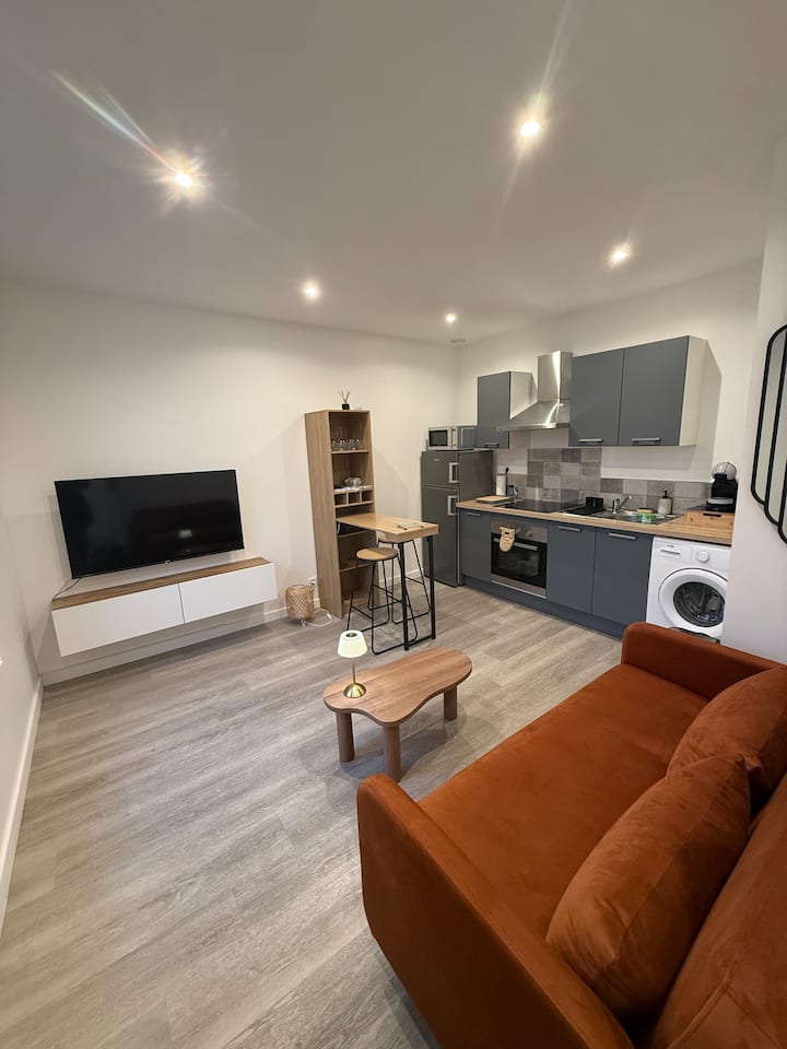 Charmant T2 Cosy Et Lumineux - ibis Budget Millau Viaduc