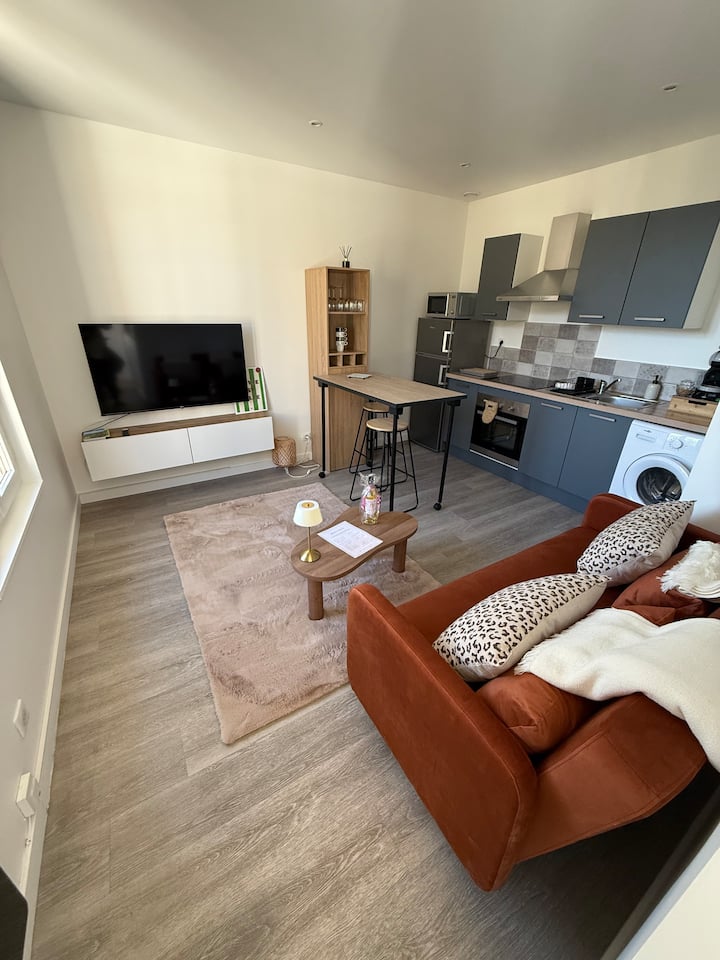 Charmant T2 Cosy Et Lumineux - Millau