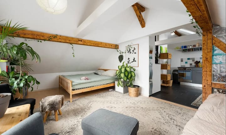 Loft Wohnung Im Alten Bauernhaus Mit Bergblick - Sevelen