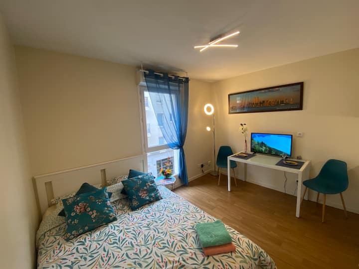 Magnifique Studio Avec Parking Privatif/wifi - Rhône