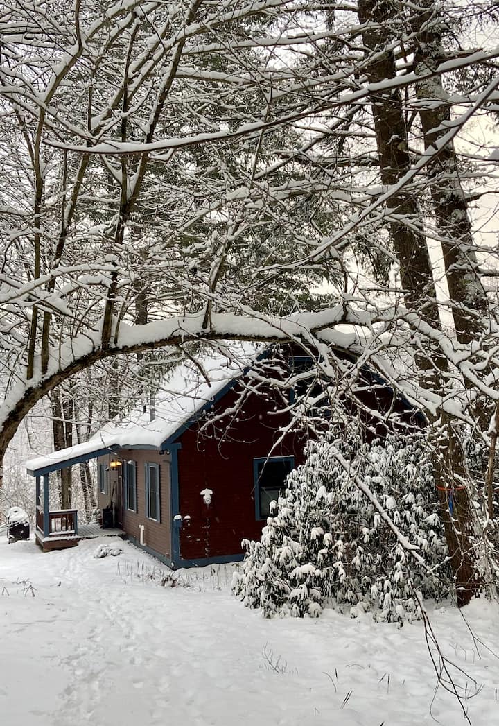 Secluded Ski Cabin W/ Chef’s Kitchen | Mad River - Waterbury Village Historic District