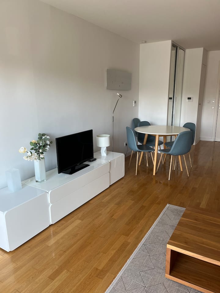 Appartement Terrasse Vue Parlement, Parking Inclus - Strassburg
