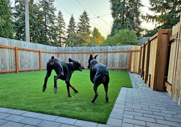 *Convenient Location+tacoma Extended Stay* - タコマ, WA