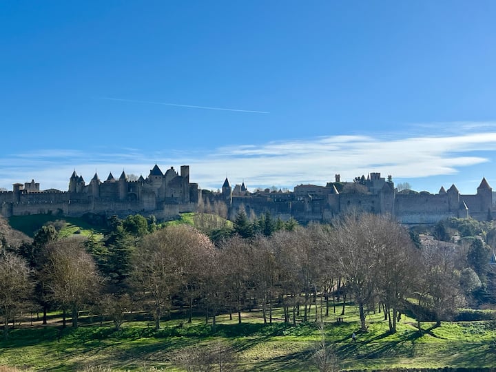 Bellevue Cité 2*clim*parking Public Gratuit - Carcassonne