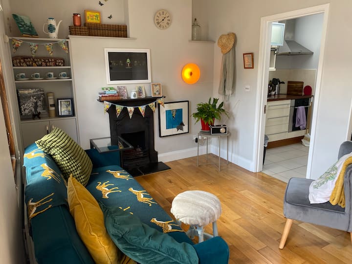 Dublin City Centre Cottage For Two - Dublin