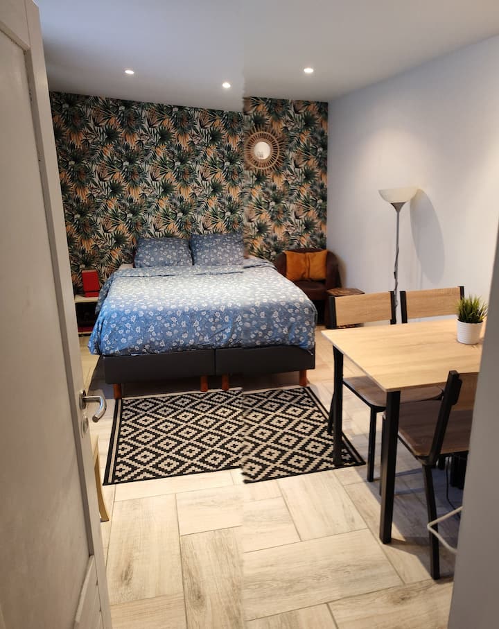 Logement Fonctionnel Kitchenette+salle De Bain A. - Ronchin