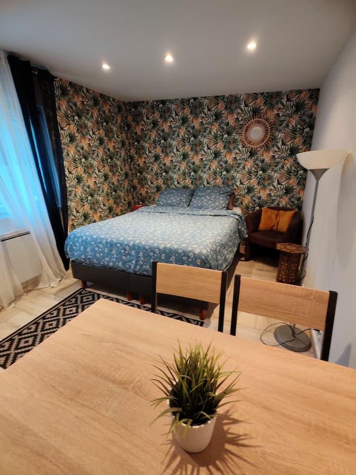 Logement Fonctionnel Kitchenette+salle De Bain A. - Faches-Thumesnil