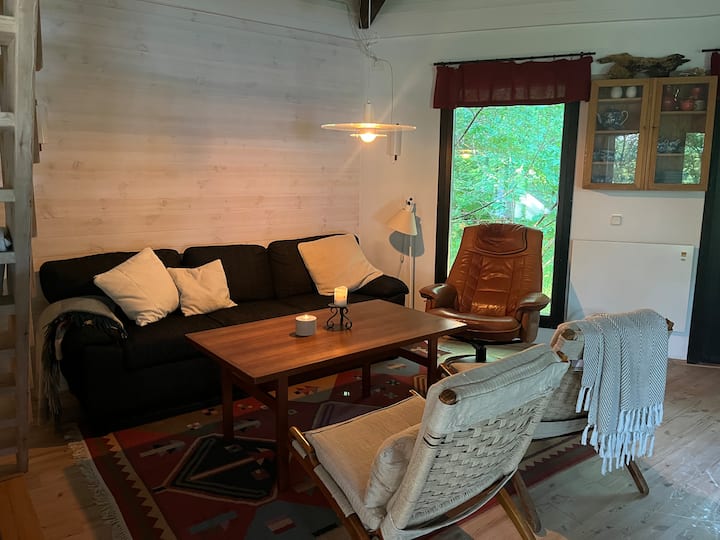 Mysigt Hus Nära Vemmentorpasjön - Örkelljunga