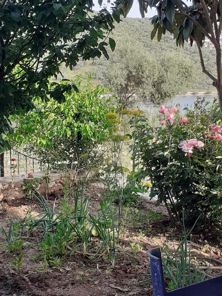 Bahcekati Huzurlu Rahat - Kıyıkışlacık