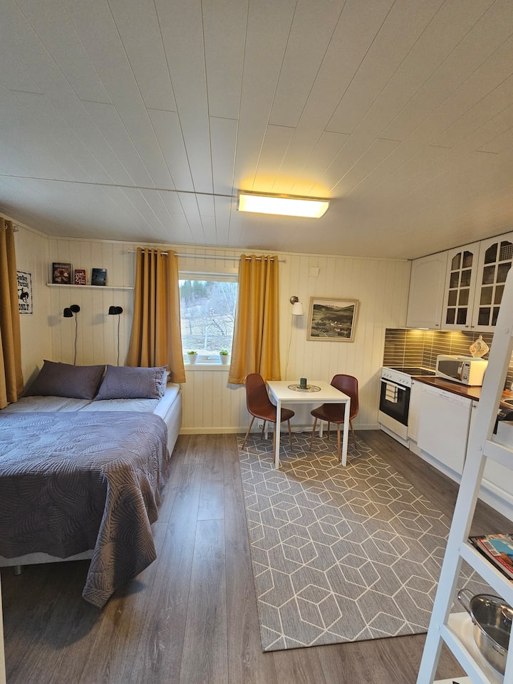 Studio Apartment With Privat Entrance - Norway