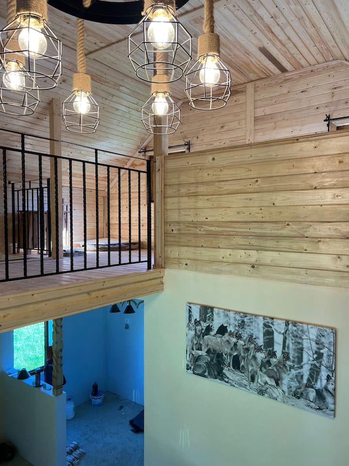 In The Forrest-wolf Vila/dans Le Foret-le Loupvila - Ciucea