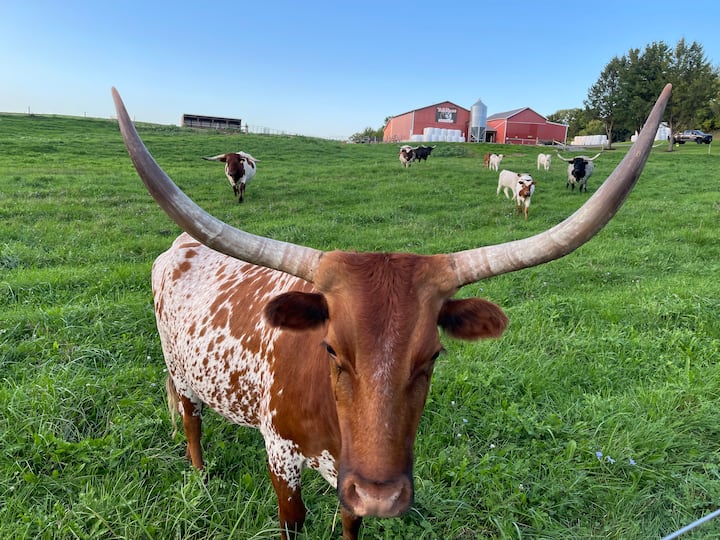 Charming Farmhouse Retreat - Canandaigua, NY