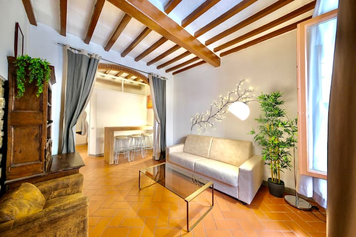 Eleganza A 100 Metri Da Ponte Vecchio, 3 Bdr/2bth - Florenz