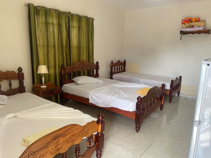 Casa Yoel Prieto - Viñales