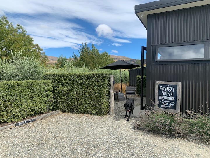 Private Studio Unit In The Olives - Bannockburn, New Zealand