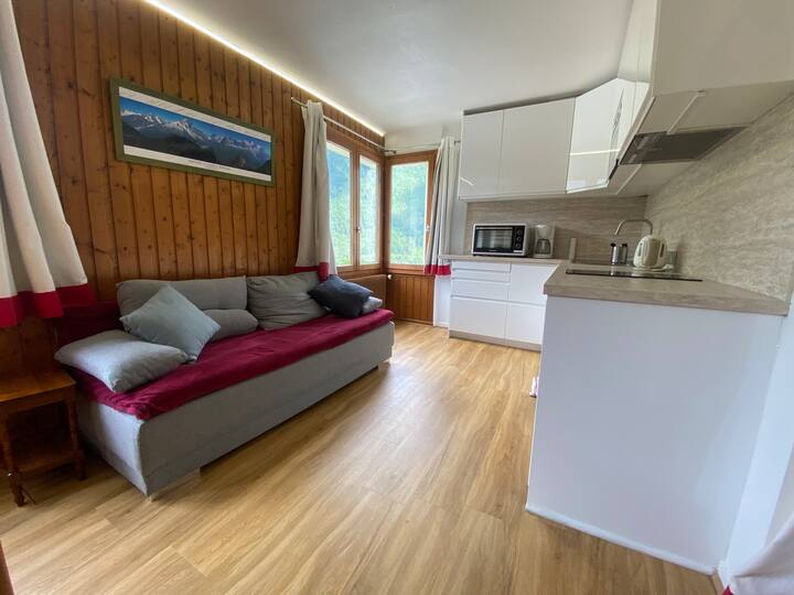 Appartement 4 Personnes Avec Vue Exceptionnelle - Chamonix-Mont-Blanc