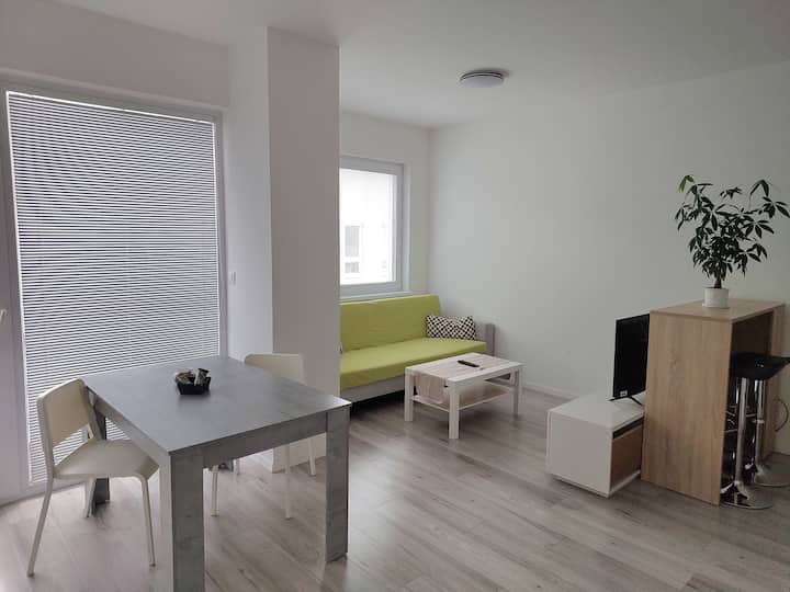 Apartment In Bratislava Near Vienna Gate - Bratysława