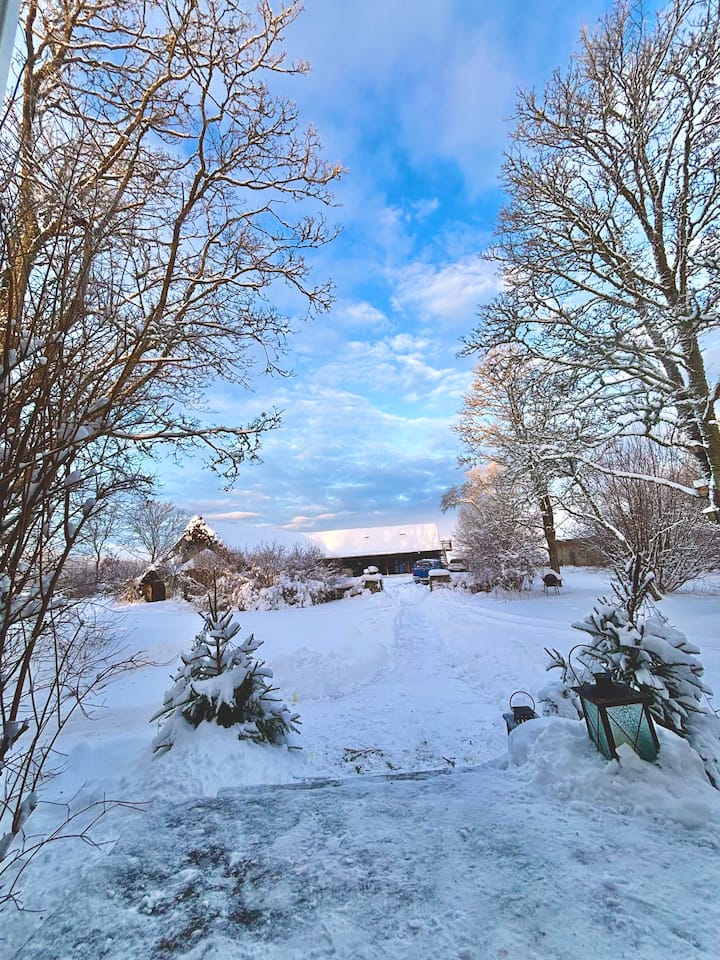 Tornhem Anno1850 - Öland