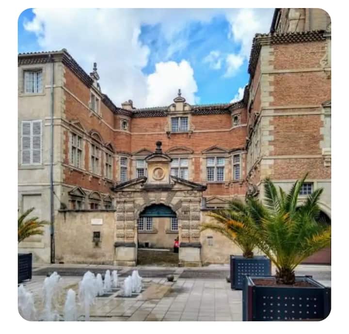 Appt Et Parking Privé, Centre Ville Historique - Castres